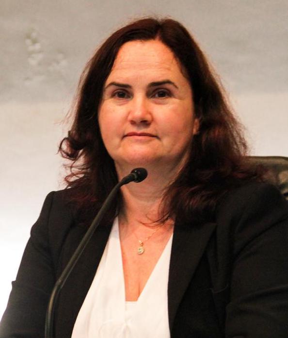 Panorama of Religious Coexistence in Brazil - Talk About: Law and Religion